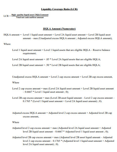 25+ Liquid Assets Examples in PDF | Examples