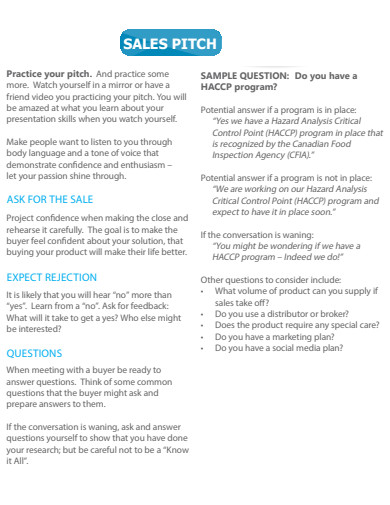 23+ Sales Pitch Examples in PDF, Google Slides, Powepoint, Flowcharts ...