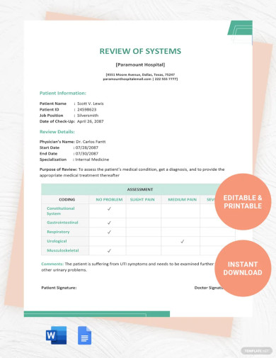 8+ Review of Systems in Google Docs, Word, PDF | Examples