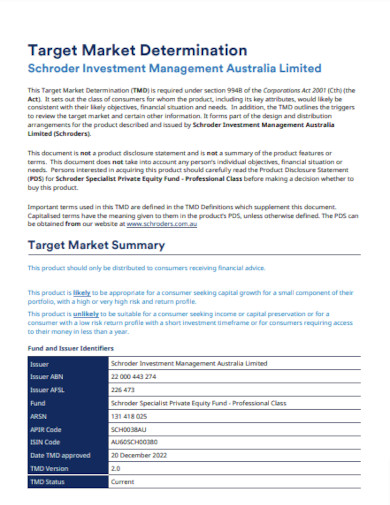 34+ Target Market - Example, PDF | Examples