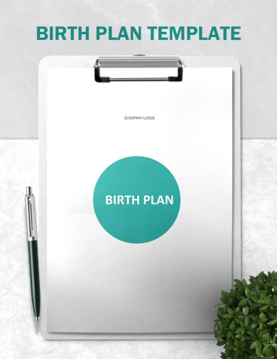 30+ Birth Plan Examples in Google Docs | Word | Apple Pages | PDF ...
