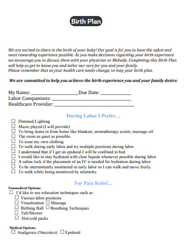 30+ Birth Plan Examples in Google Docs | Word | Apple Pages | PDF ...