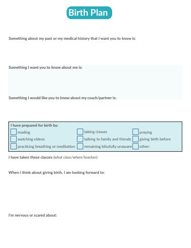 30+ Birth Plan Examples in Google Docs | Word | Apple Pages | PDF ...