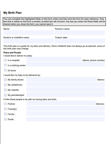 30+ Birth Plan Examples in Google Docs | Word | Apple Pages | PDF ...