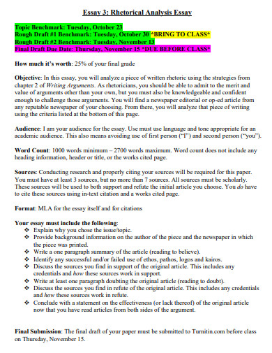 30+ Rhetorical Analysis Essay Examples in PDF | Google Docs | Word ...