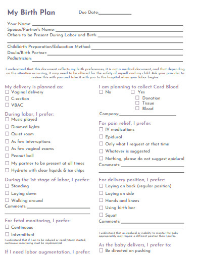 30+ Birth Plan Examples in Google Docs | Word | Apple Pages | PDF ...