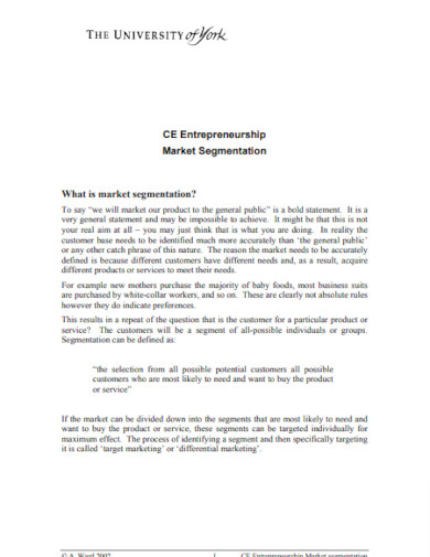 34+ Market Segmentation - Examples, PDF | Examples