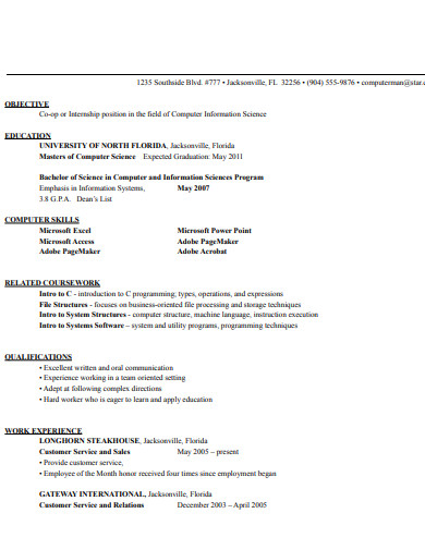 35+ Example of Resumes in PDF, DOCS | Examples
