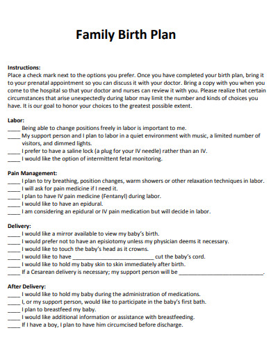 30+ Birth Plan Examples in Google Docs | Word | Apple Pages | PDF ...