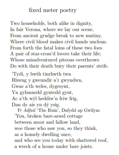 30+ Meter Poem Examples in PDF | Examples