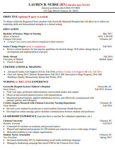 30+ Nursing Resume Examples in PDF | Examples