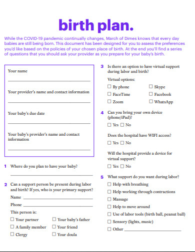 30+ Birth Plan Examples in Google Docs | Word | Apple Pages | PDF ...