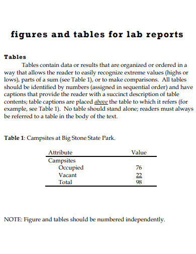 30+ Lab Report Examples in MS Word | Pages | Google Docs | PDF | Examples