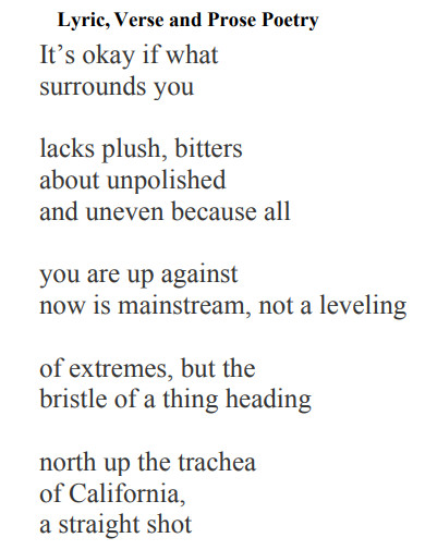 30+ Lyric Poem Examples in PDF, Google Docs | Examples