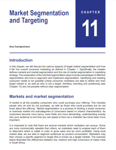 34+ Target Market - Example, PDF | Examples
