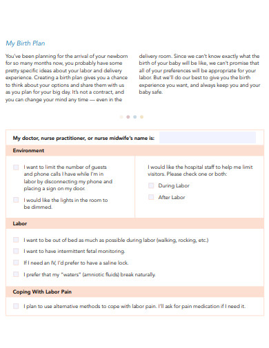 30+ Birth Plan Examples in Google Docs | Word | Apple Pages | PDF ...
