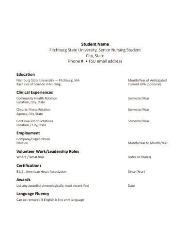 30+ Nursing Resume Examples in PDF | Examples