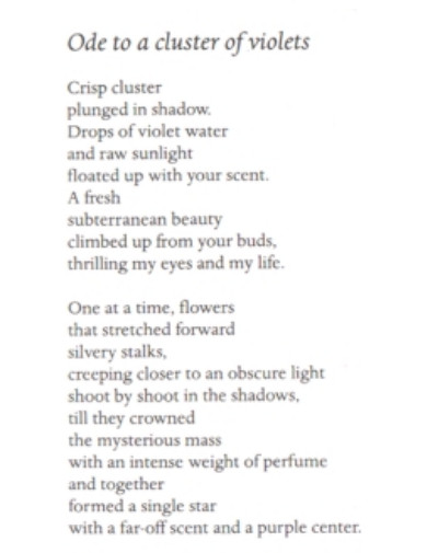 Ode Poem - 30+ Examples, Format, How to Write, PDF