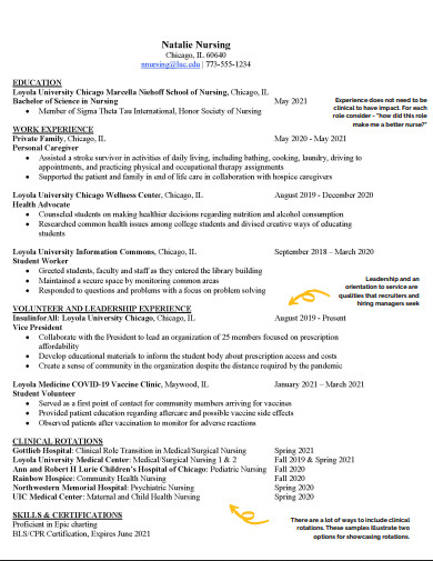30+ Nursing Resume Examples in PDF | Examples