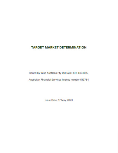 34+ Target Market - Example, PDF | Examples