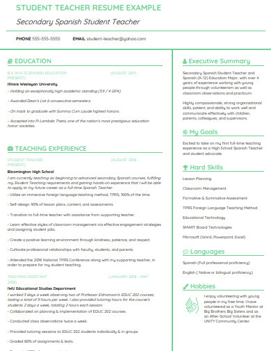 30+ Teacher Resume Examples in InDesign | Illustrator | Word | Apple ...