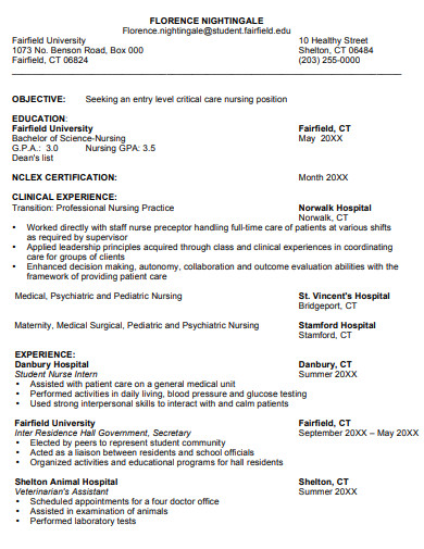 30+ Nursing Resume Examples in PDF | Examples
