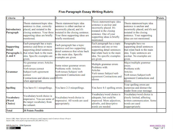 34+ 5 Paragraph Essay Example | Examples