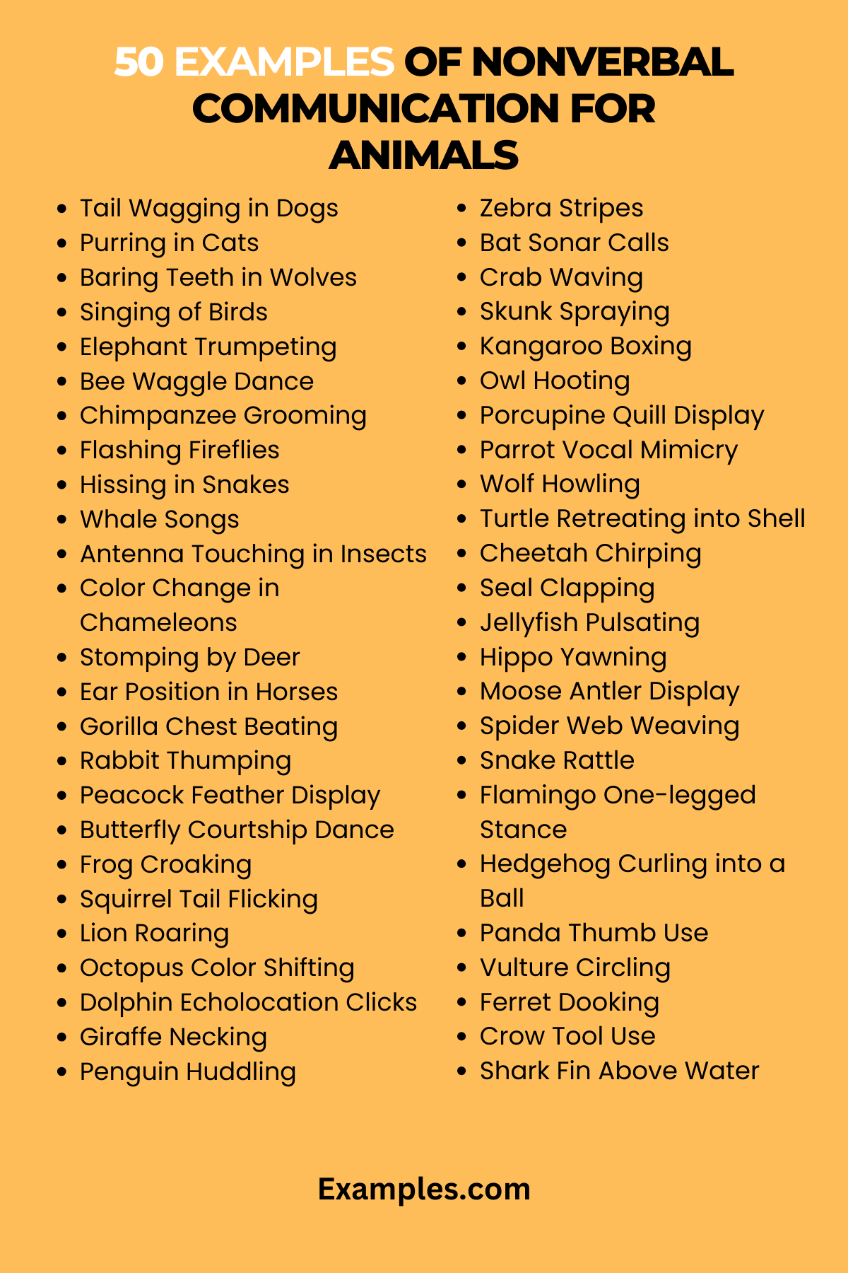 Nonverbal Communication for Animals - 49+ Examples, Types