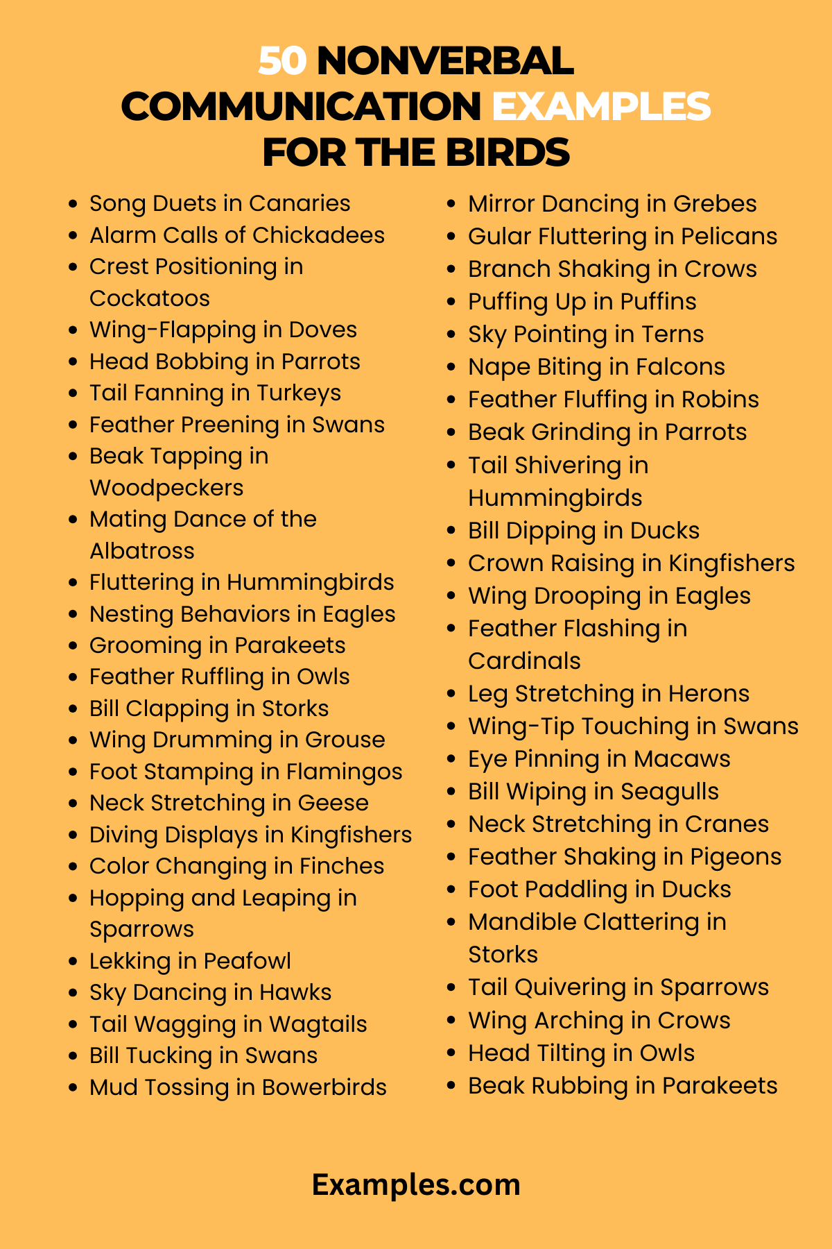 Nonverbal Communication for the Birds - 49+ Examples, Types