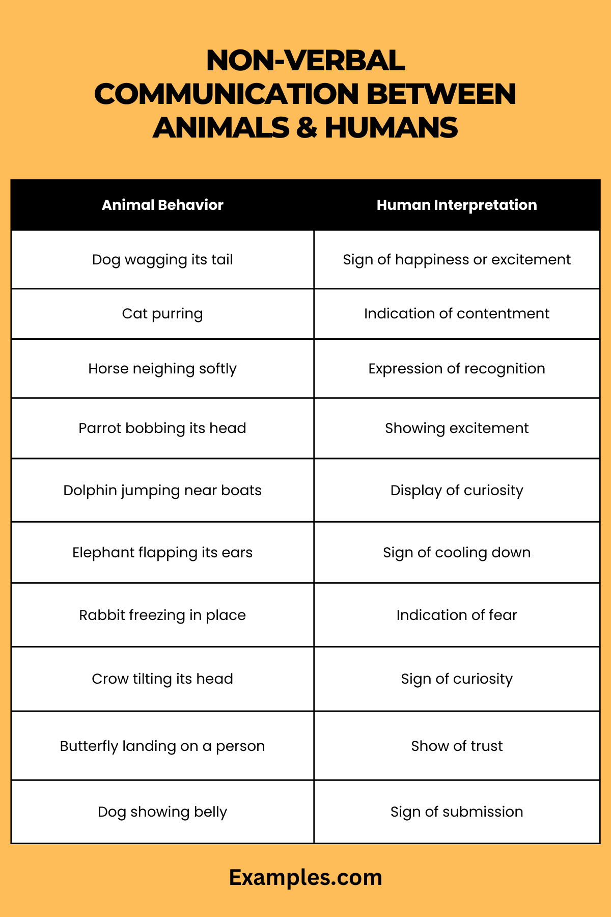 Nonverbal Communication for Animals - 49+ Examples, Types