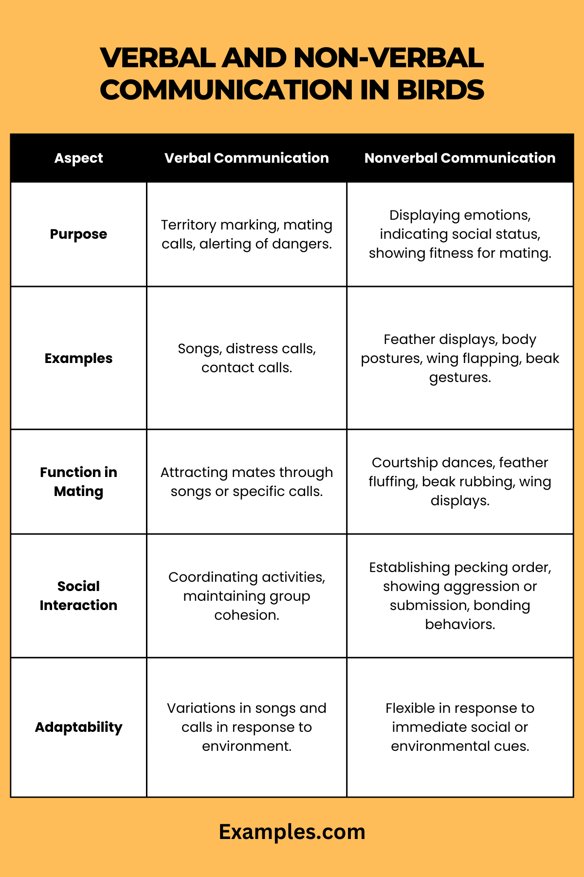 Nonverbal Communication for the Birds - 49+ Examples, Types
