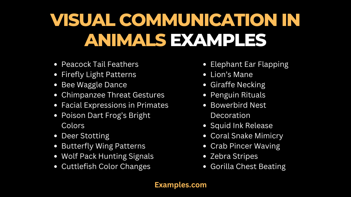 Visual communication in Animals - 19+ Examples