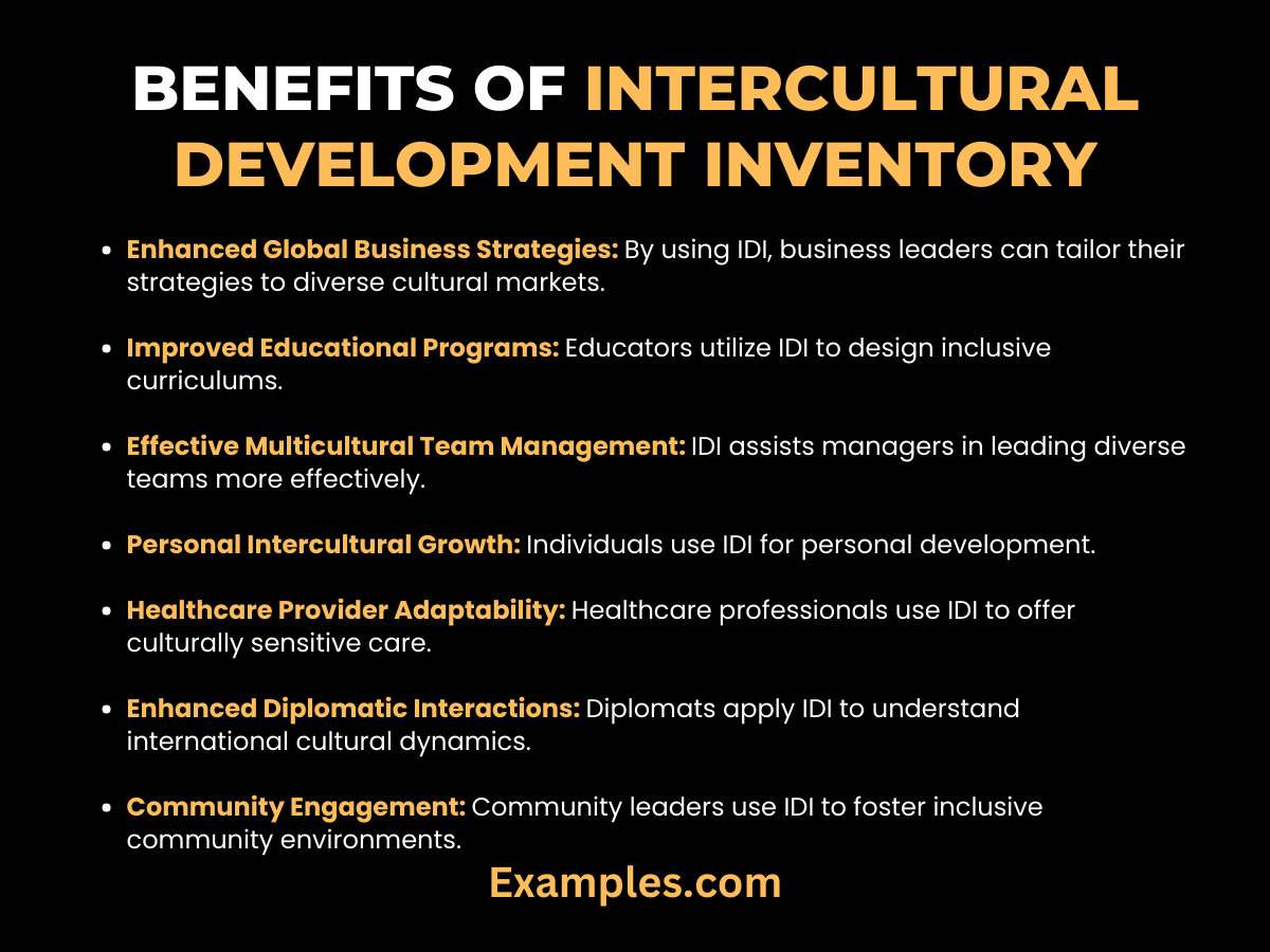Intercultural Development Inventory - 9+ Examples