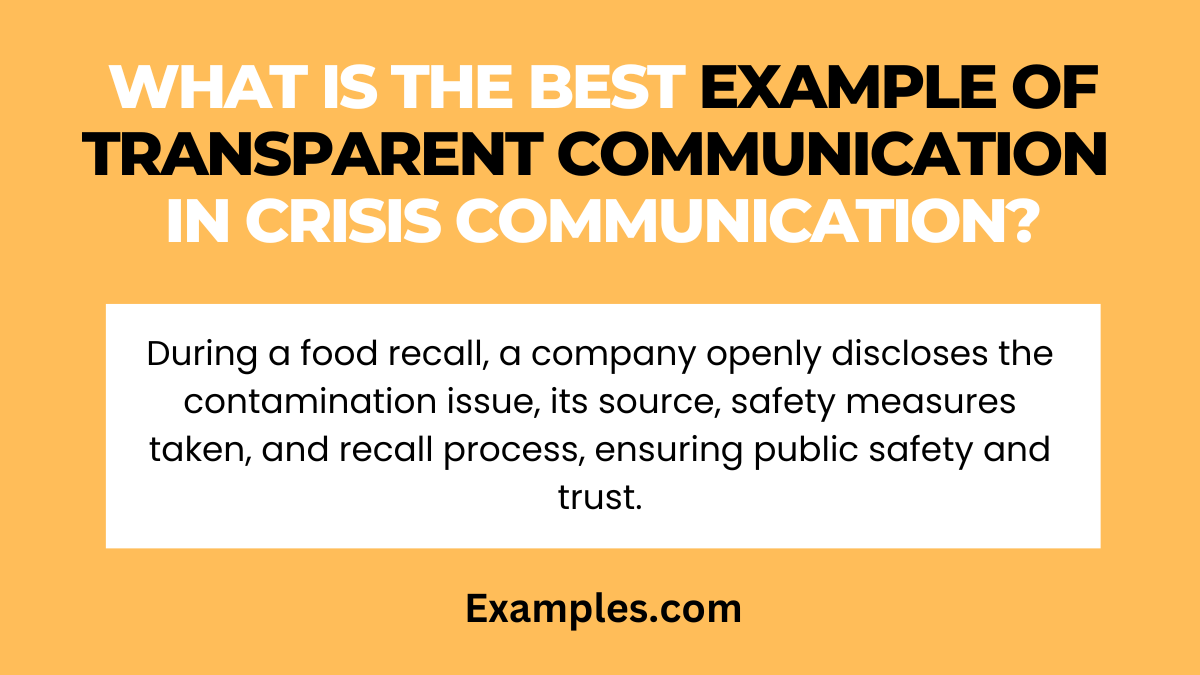 Transparent Communication in Crisis Communication - 19+ Examples