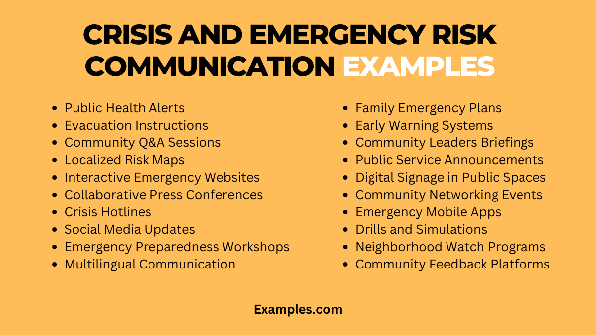 Crisis and Emergency Risk Communication (CERC) - 19+ Examples