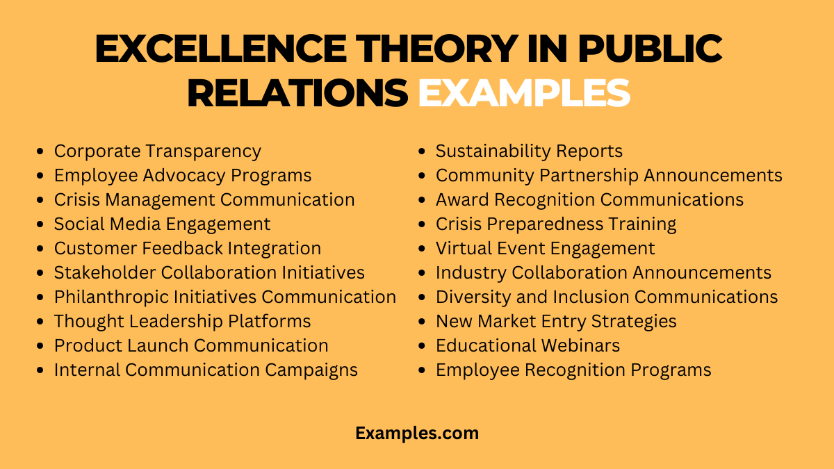 Excellence Theory in Public Relations - 19+ Examples