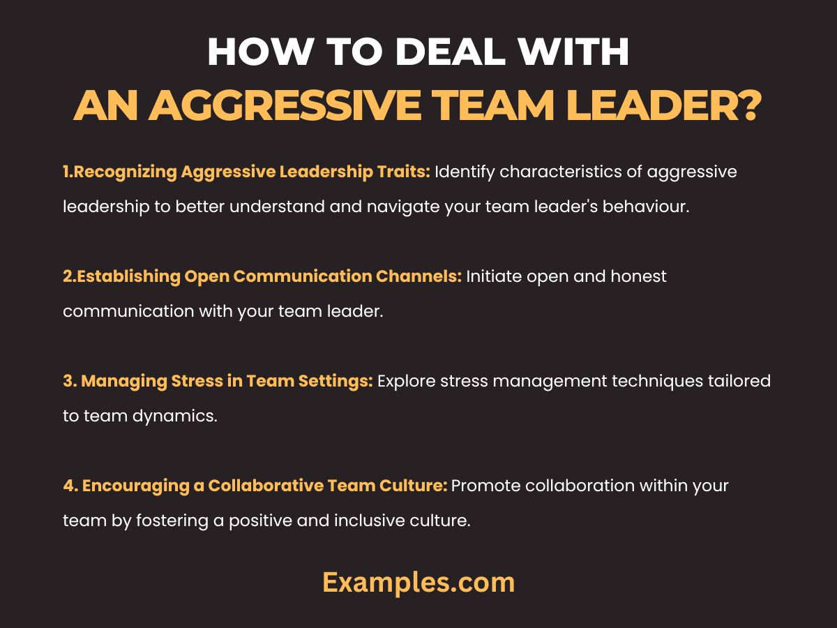 How to Deal with Aggressive Team Leader?