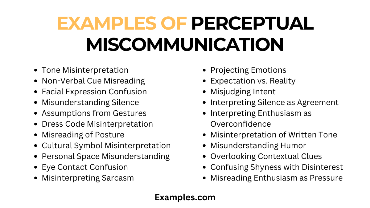 Perceptual Miscommunication - 24+ Examples
