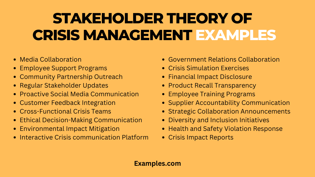 Stakeholder Theory of Crisis Management: Examples, PDF