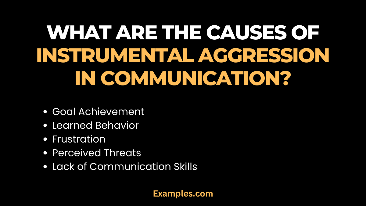 Instrumental Aggression in Communication - 19+ Examples, How to Use, Tips