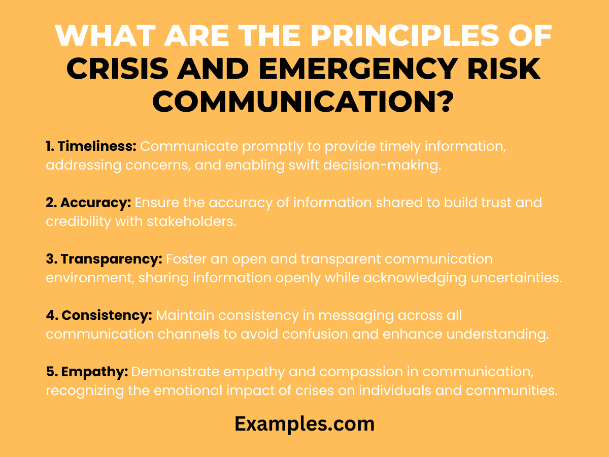 Crisis and Emergency Risk Communication (CERC) - 19+ Examples