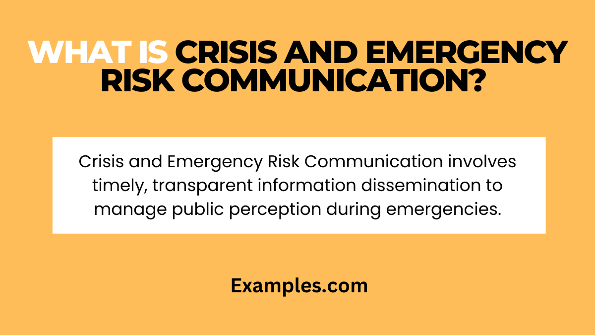 Crisis and Emergency Risk Communication (CERC) - 19+ Examples