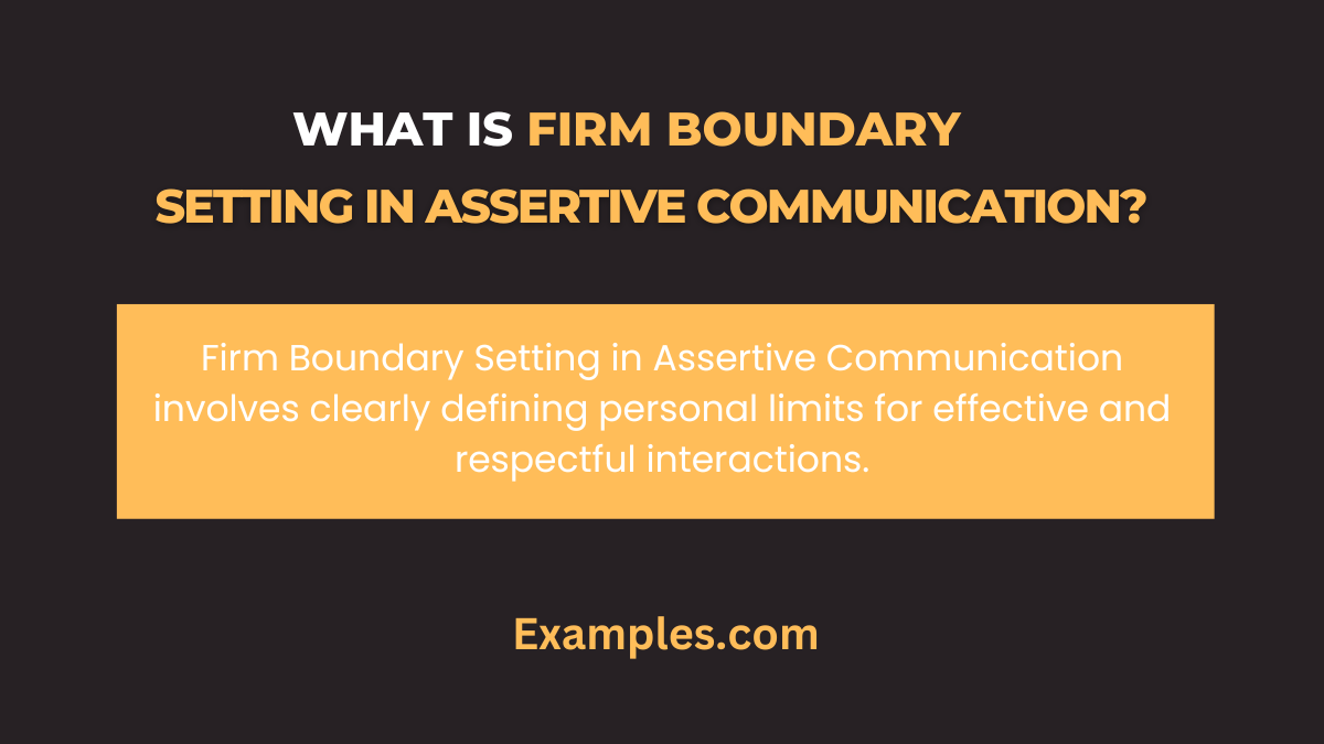 Firm Boundary Setting In Assertive Communication - 19+ Examples, How to Develop, Tips