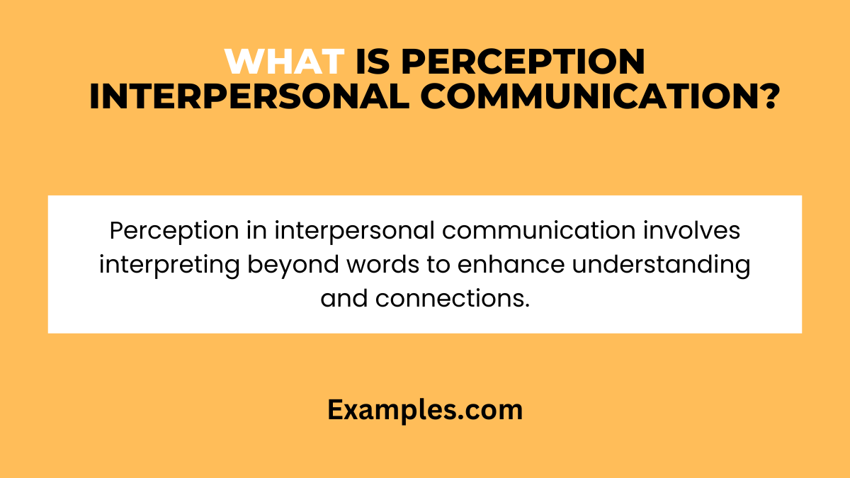 Perception Interpersonal Communication -14+ Examples