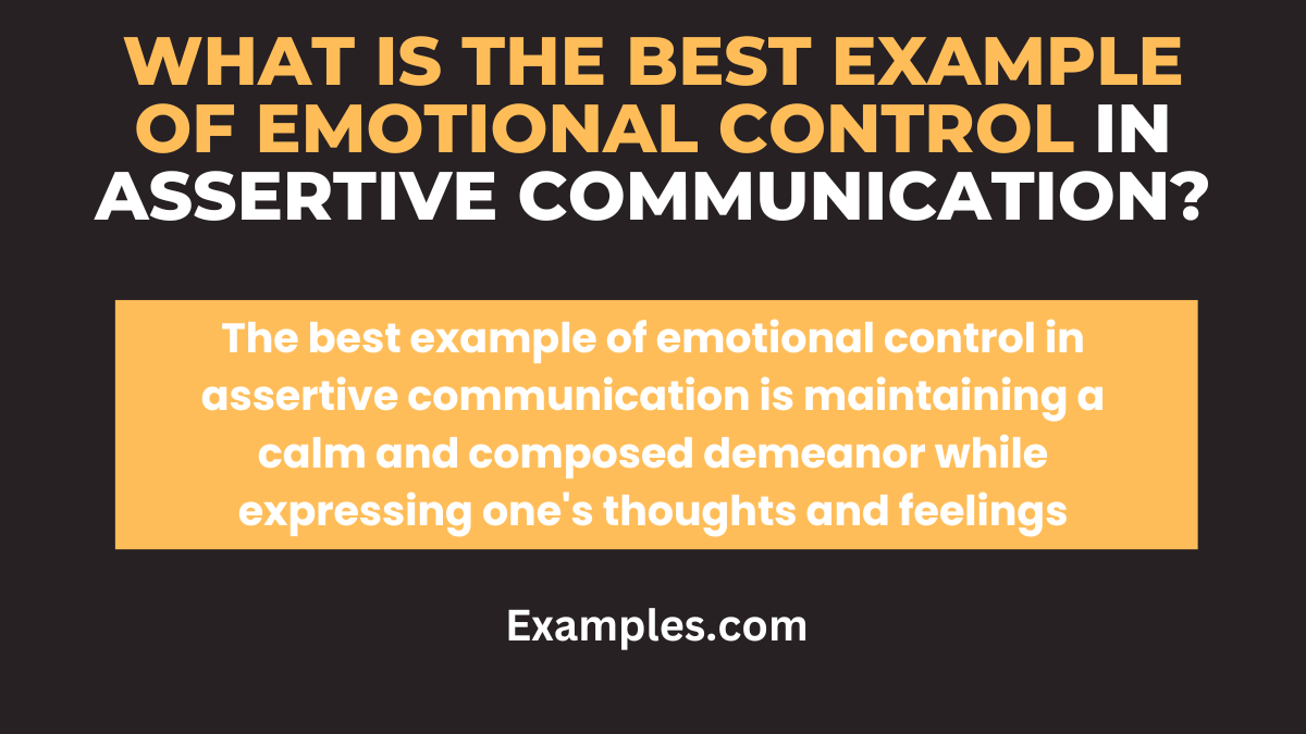 Emotional Control in Assertive Communication - 19+ Examples