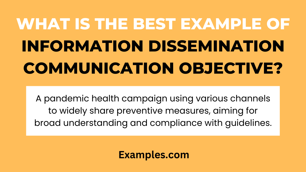 Information Dissemination Communication Objective - 19+ Examples, Types