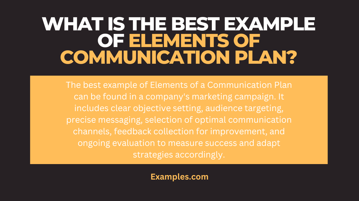 Elements of Communication Plan - 19+ Examples