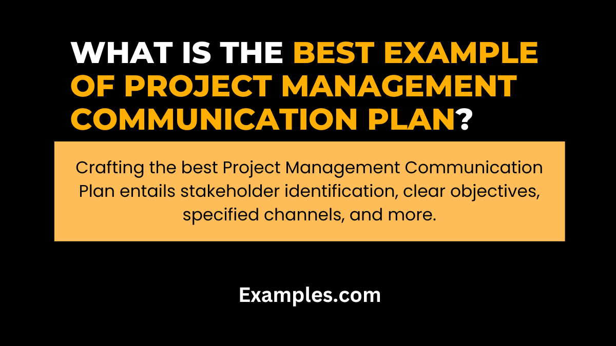 Project Management Communication Plan - 9+ Examples, How to Create