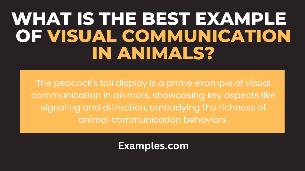 Visual communication in Animals - 19+ Examples