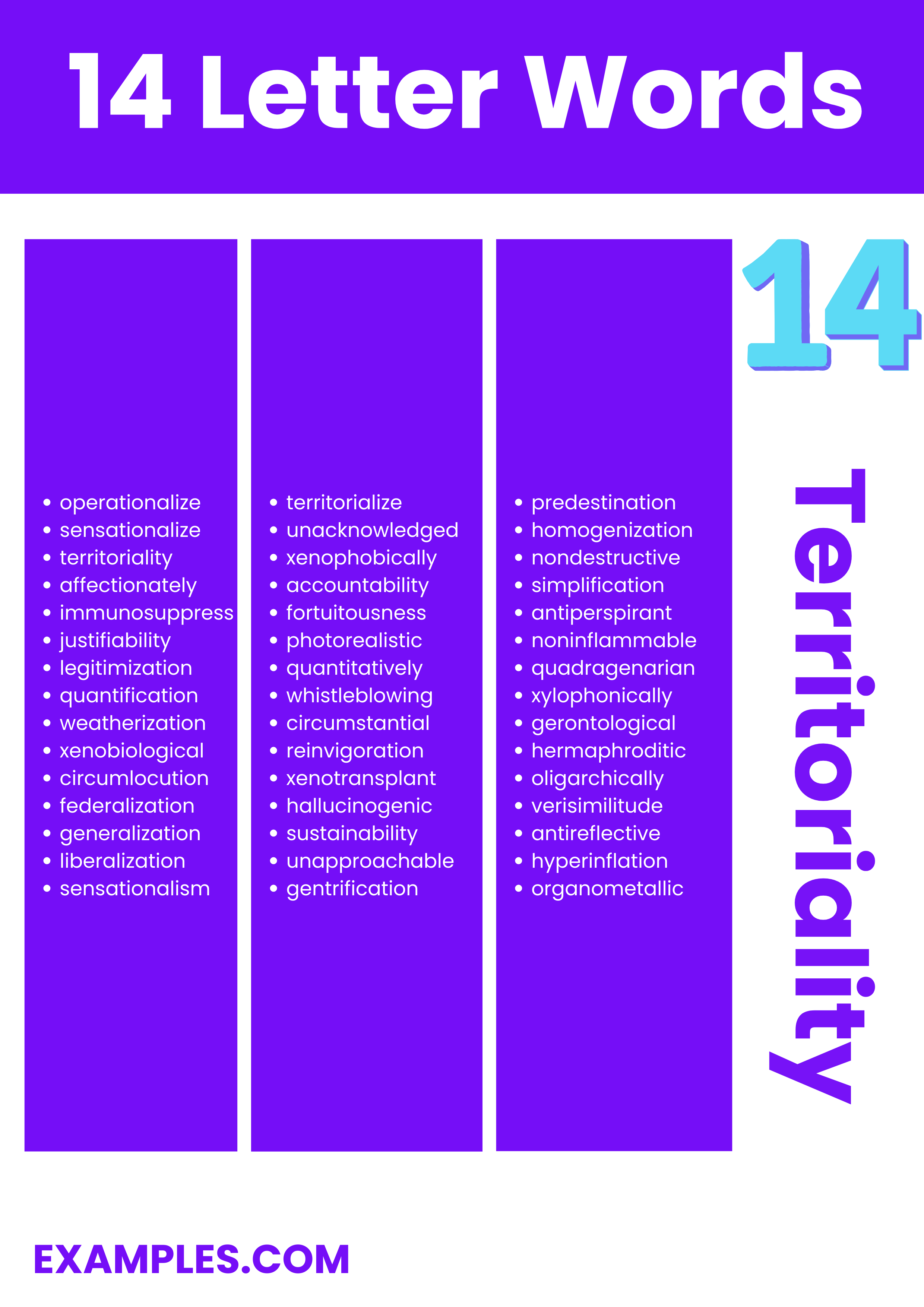 450+ 14 Letter Words, Meaning, PDF